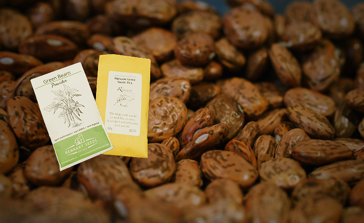 The Right Seeds: GMO, Heirloom, Hybrid? | Amazing Discoveries