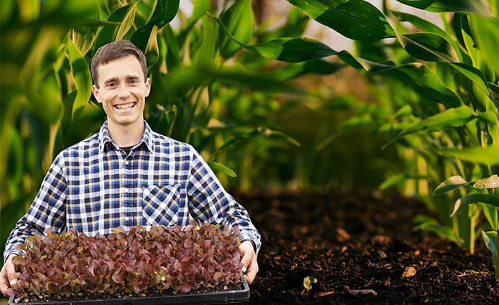 How to Germinate Seeds Indoors | Amazing Discoveries