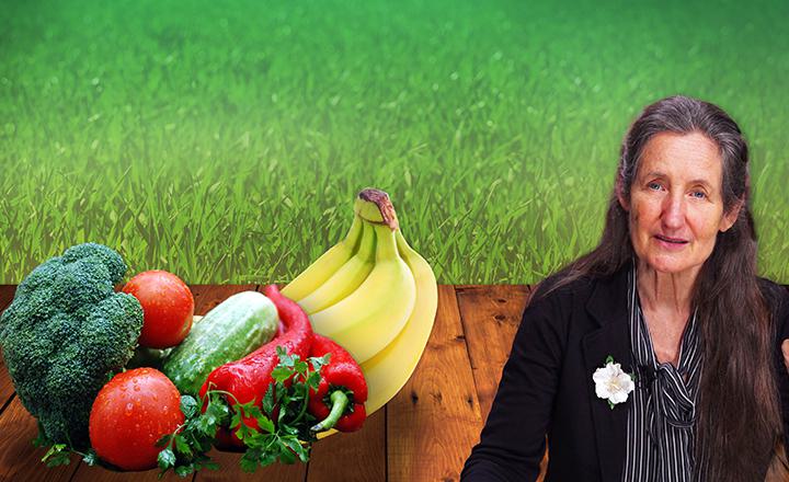 Fruits & Veggies: Mixing Magic or Mealtime Mayhem?